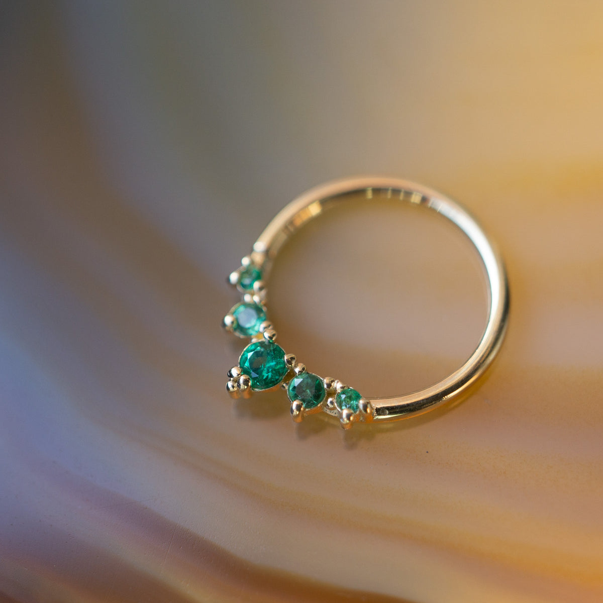 Throne Continuous Ring – Somatic Body Piercing