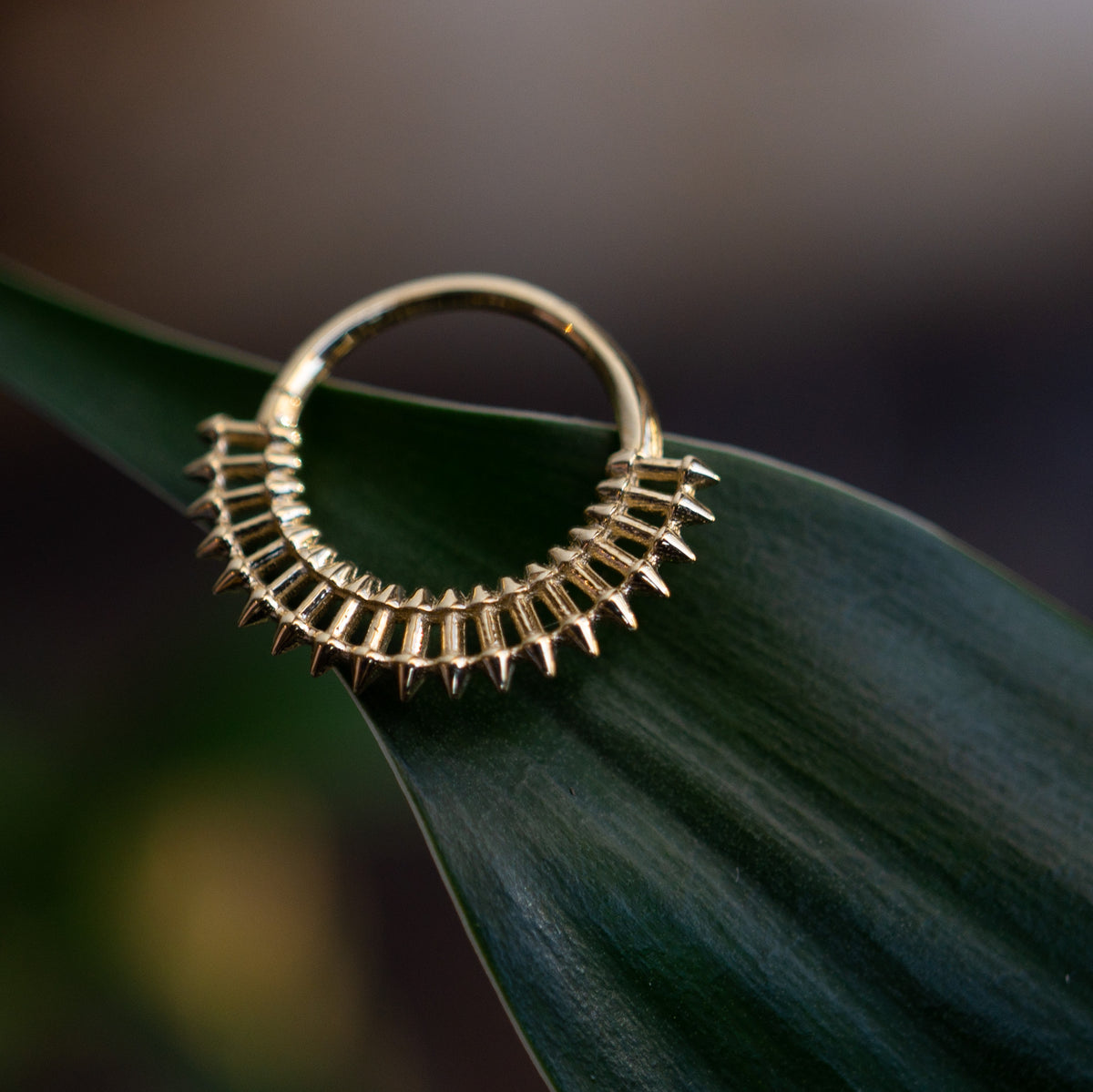 Fatale Continuous Ring – Somatic Body Piercing